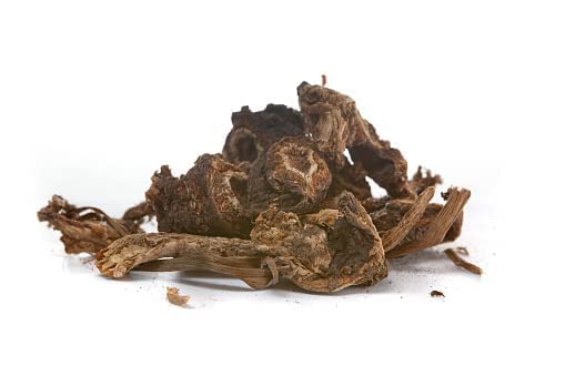 thelo Osha root | Ligusticum Porteri | Bear root - (400 GM)