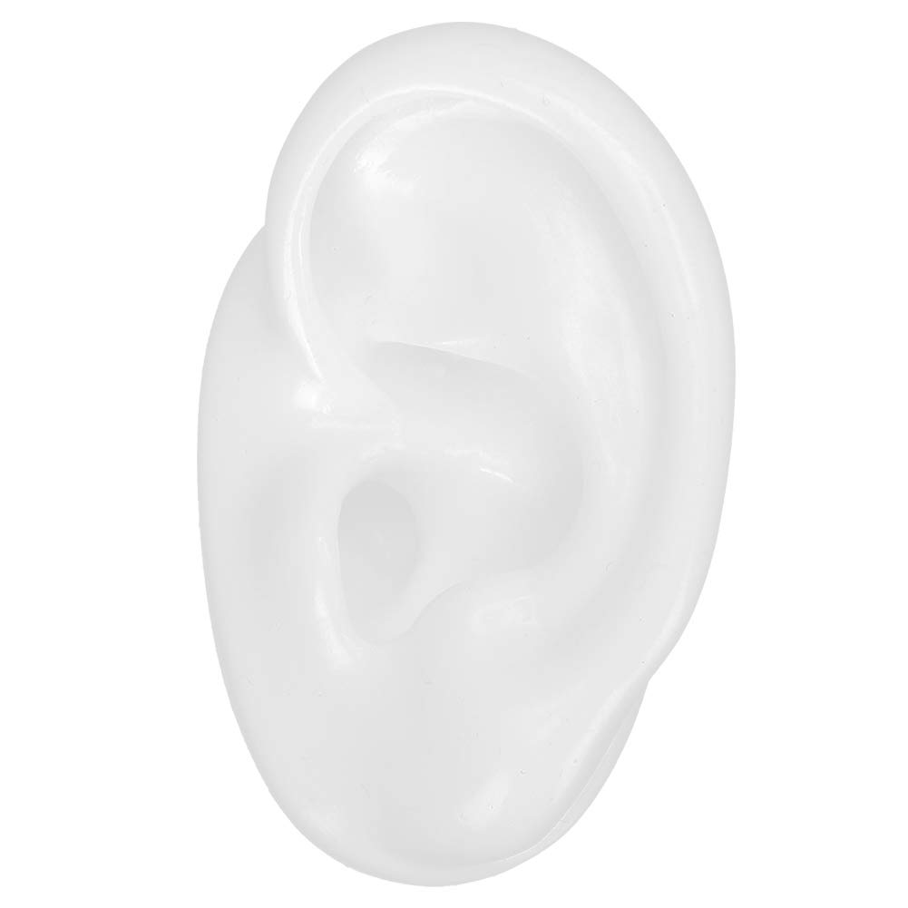 Silicone Ear Model - Realistic Artificial Ear for Hearing Aids Display ...