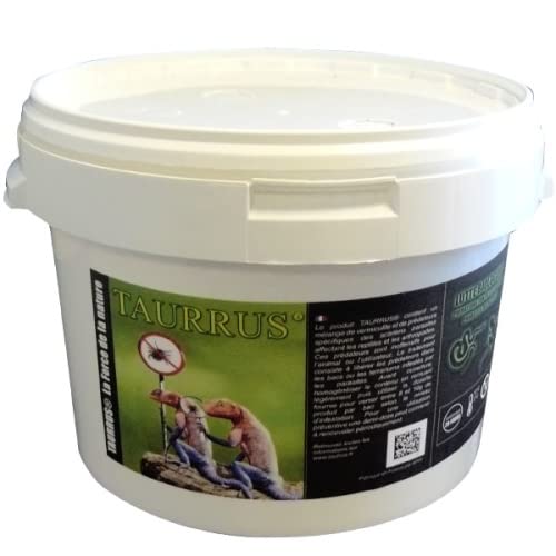 M&S Reptiles TAURRUS XL Predatory Mites for Effective Mite Control (50 ...