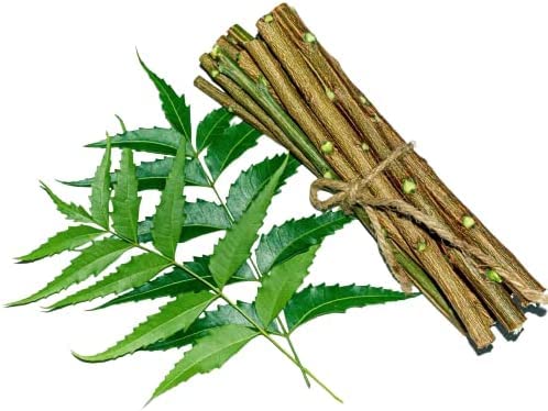 OMC Natural Neeem Chew Sticks (PCS of 10) Organic Neem Datun Manual ...