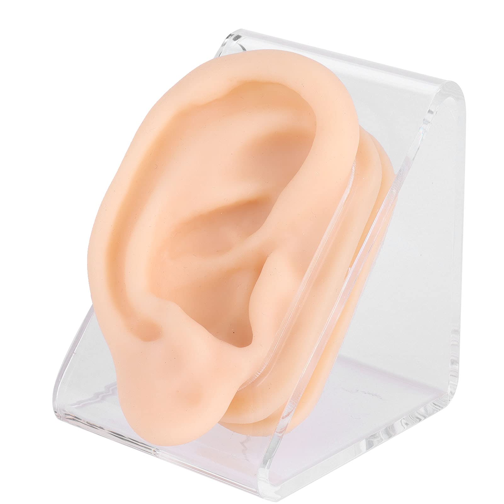 Buy Soft Silicone Ear Model | Fake Ear Display for Acupuncture ...