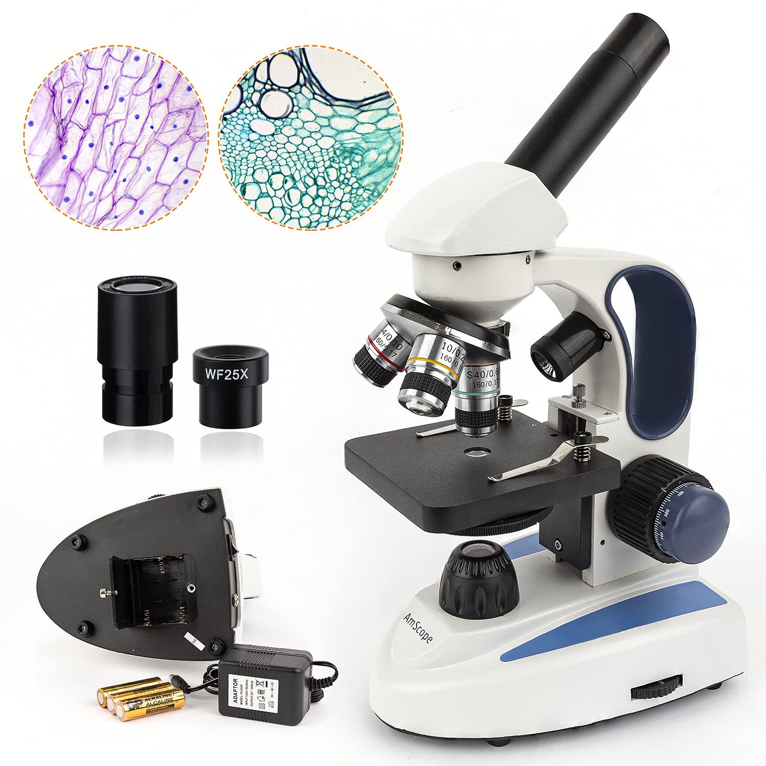 Parts Of A Compound Light Microscope Rheostat
