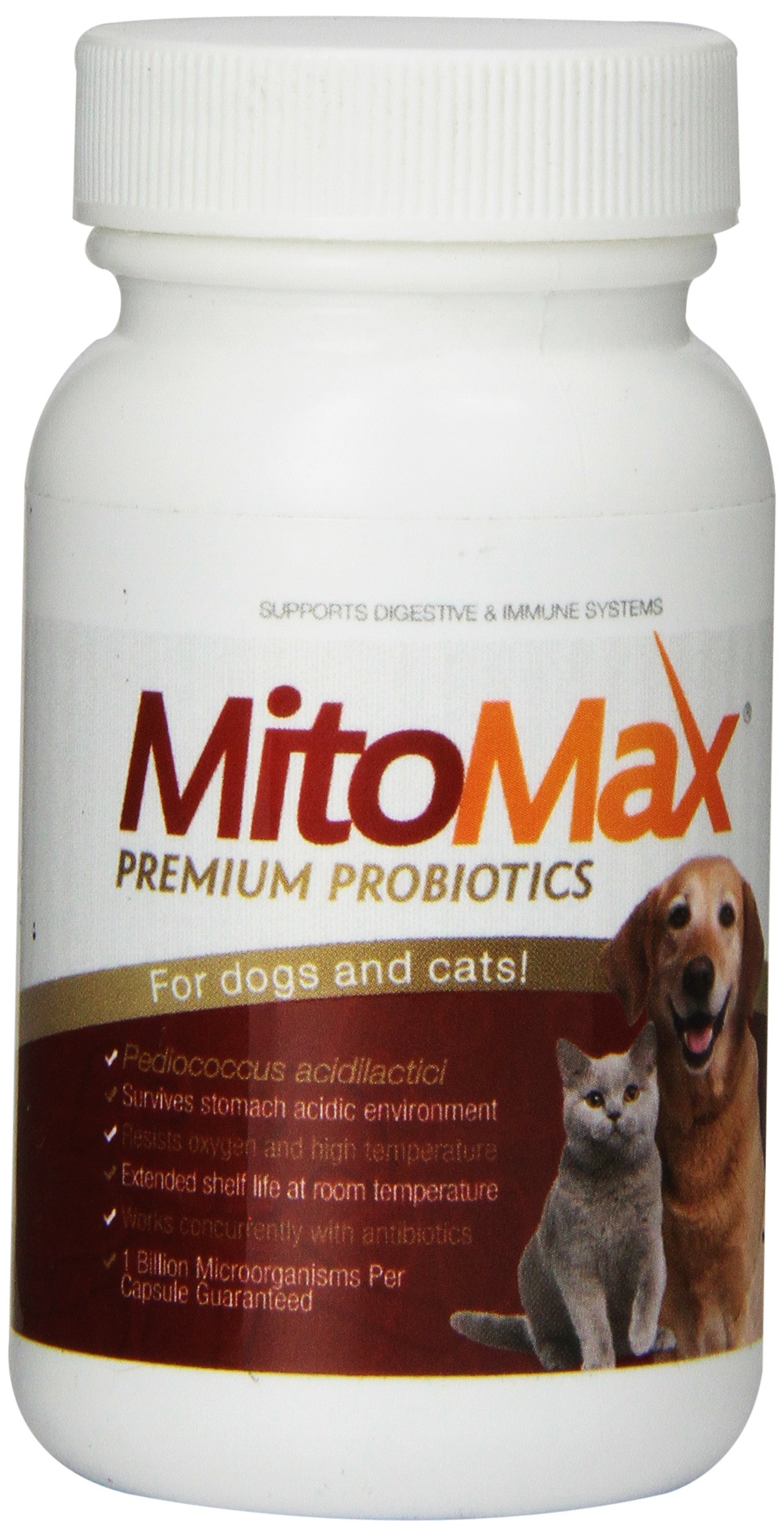 MitoMax-Premium Probiotics for Dogs and Cats | 40 Capsules | Imagilin ...
