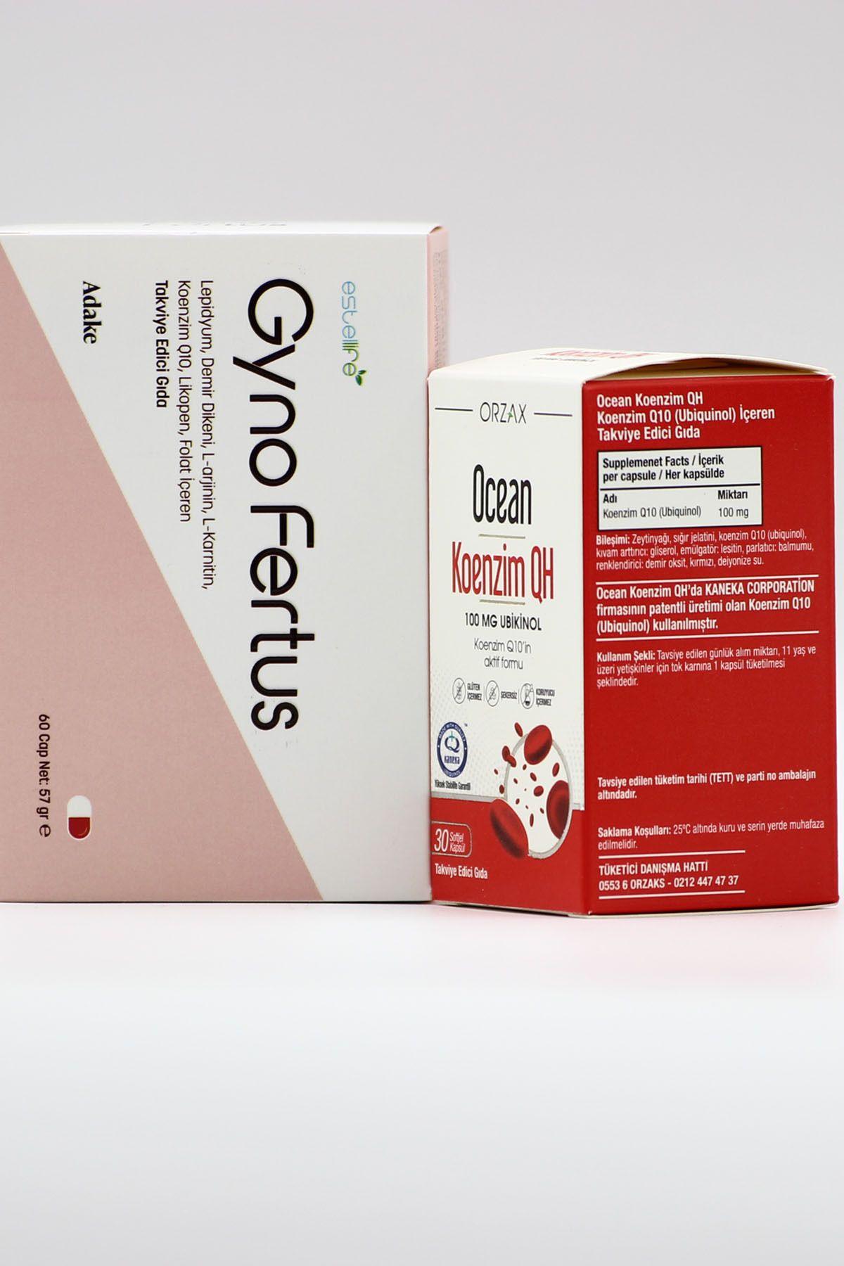 Ocean Gyno Fertus Multivitamin 60 Capsules and Ocean Coenzyme QH 30 ...