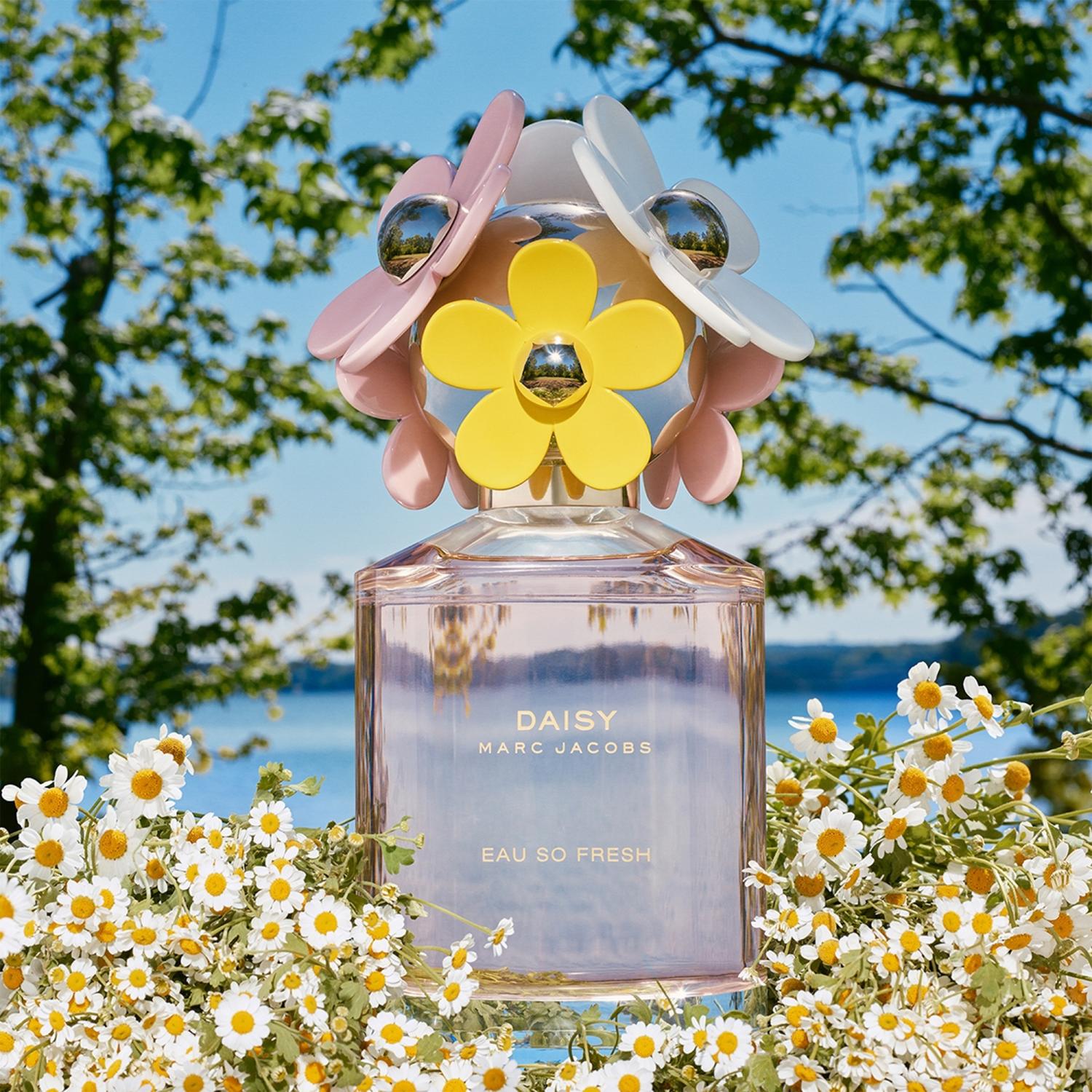 Discover Marc Jacobs Daisy Discovery 4-Piece Mini Holiday Gift Set ...