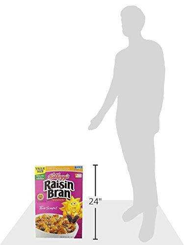 Kellogg's Raisin Bran Cereal Original 23.5 oz Family Size | High Fiber ...