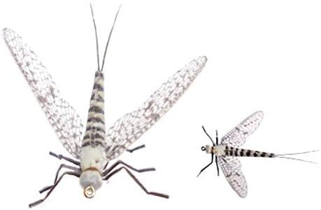 Synthfly Lifelike Mayfly Pack - Gray & Brown Drake in Sizes 10 12 14 ...