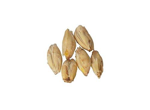 Brewmaster GR300FM 2-Row Pale Malt - 10 lb Milled | High-Quality ...