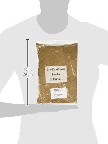 Mushroom House Porcini Dried Mushroom Powder 1 Lb - Premium Grade | Buy ...