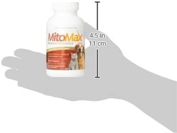 Imagilin MitoMax Premium Probiotics for Dogs and Cats - 100 Capsules ...