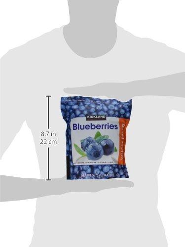 Kirkland Whole Dried Blueberries 20 Oz - 3 Pack | 1.25 lbs (Pack of 3 ...