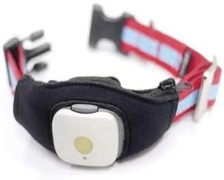 Pet Tracker Guard - Keep Your Furry Friend Safe and Secure | Buy Now ...
