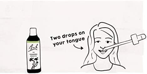 Bach Impatiens Flower Remedy for Patience - Natural Homeopathic Stress ...