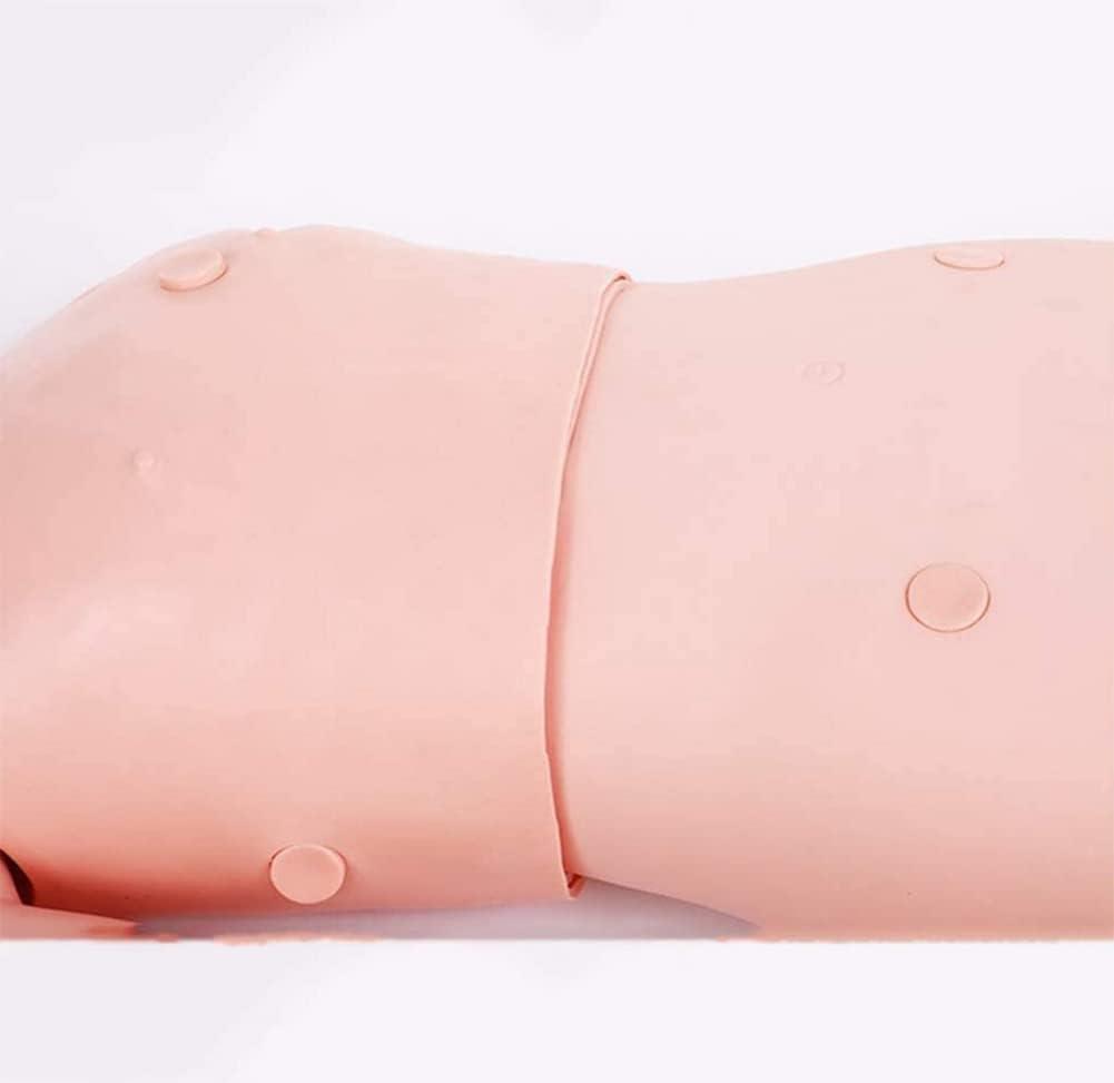 Full Body PVC Patient Care Manikin CPR Simulator Geriatric Human Model ...