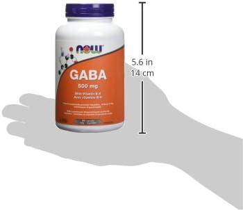 NOW Supplements GABA (Gamma-Aminobutyric Acid) 500mg Plus Vitamin B-6 ...