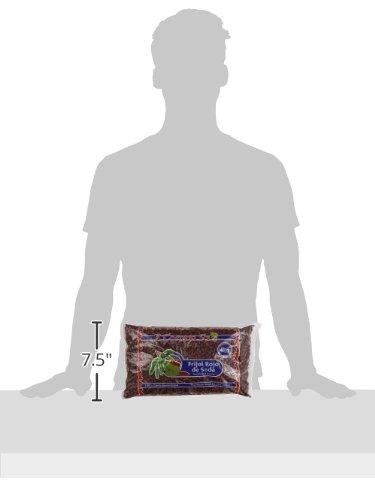 CostadelSol Frijol Rojo de Seda Red Beans - 4 lb - Premium Quality ...