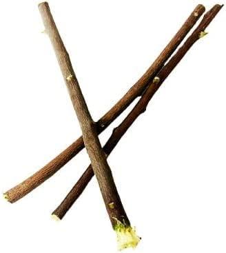 OMC Natural Neem Chew Sticks (Pack of 5) - Organic Neem Datun ...