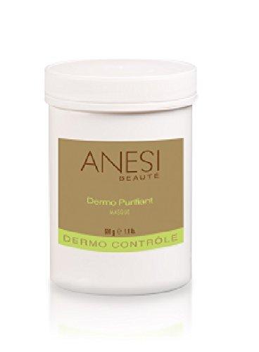 ANESI Dermo Controle Masque Dermo Purifiant - 500g Dermo-Respiratory ...