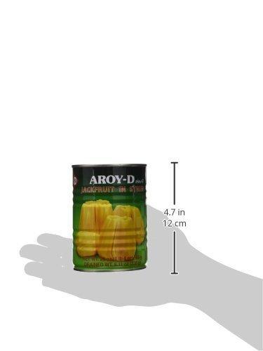 AROY-D Jackfruit in Syrup 565g - Imported Sweet and Juicy Treat | Buy ...