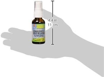 L A NATURALS Congestion & Sinus Blaster Spray 1.0oz - Fast Relief ...