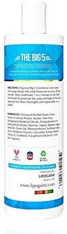 Lipogaine Big 5 Hair Loss Prevention Conditioner - Argan Oil, Keratin ...
