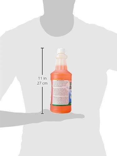 Rockwell Labs IBDC032 Invade Bio Drain Gel - 1 qt Orange | Eco-Friendly ...