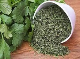 coriander leaf dried