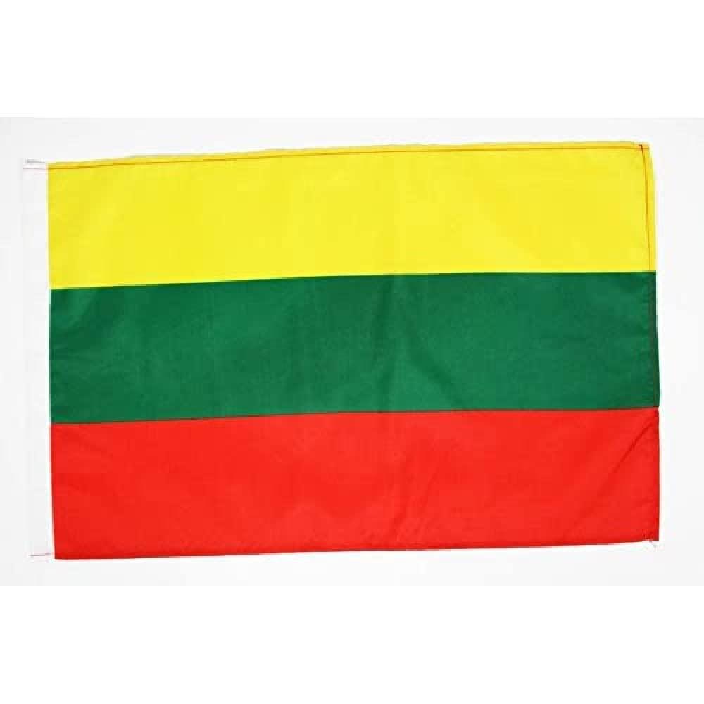 Buy AZ FLAG Lithuania Flag 45x30cm - Premium Lithuanian Flag for ...