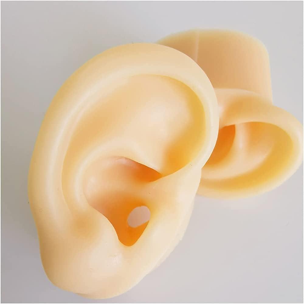 Silicone Ear Model - Simulation Human Body Part Silicone Model Artificial Ear Model - 1:1 Human ...