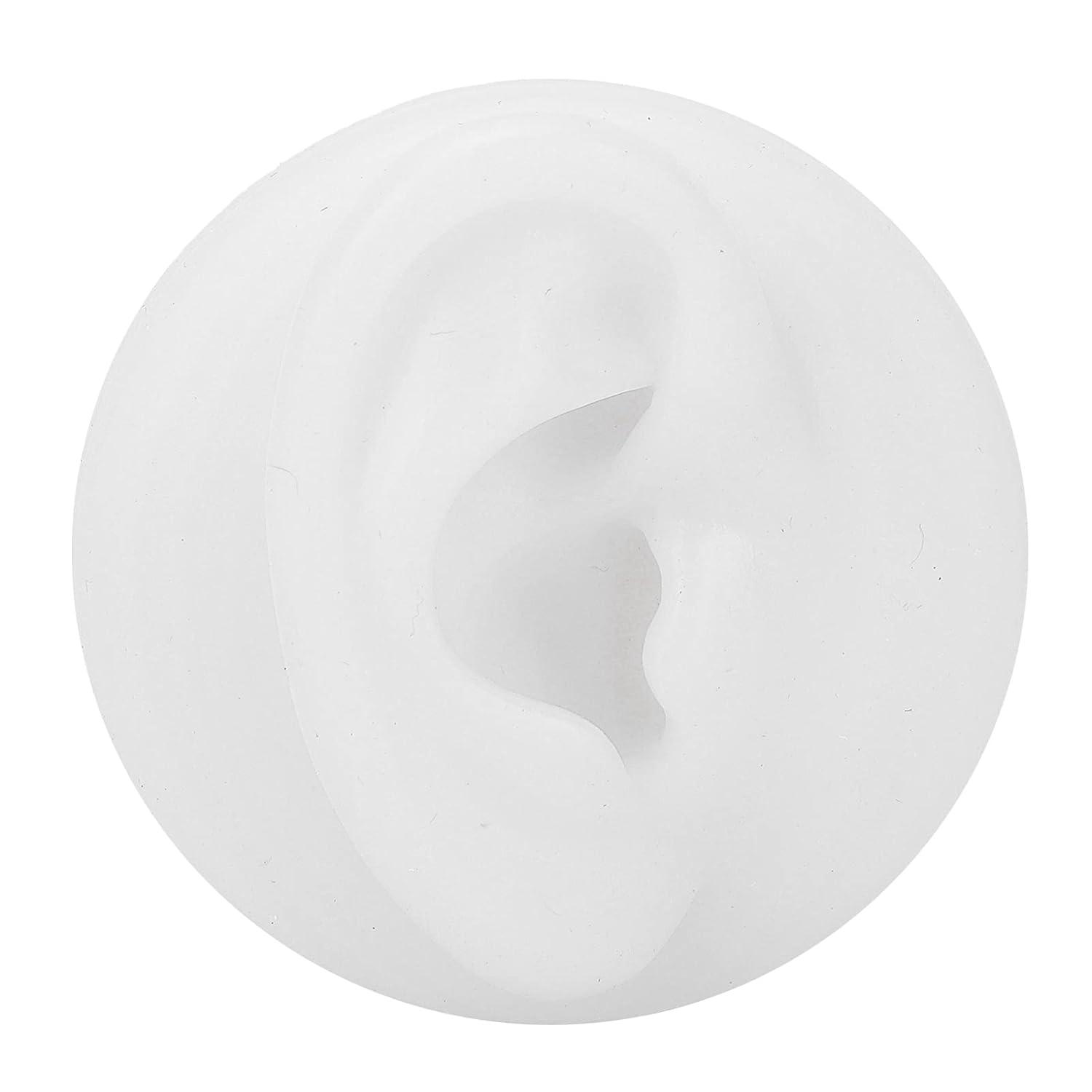 Buy Reusable Silicone Right Ear Model for Teaching - Realistic ...
