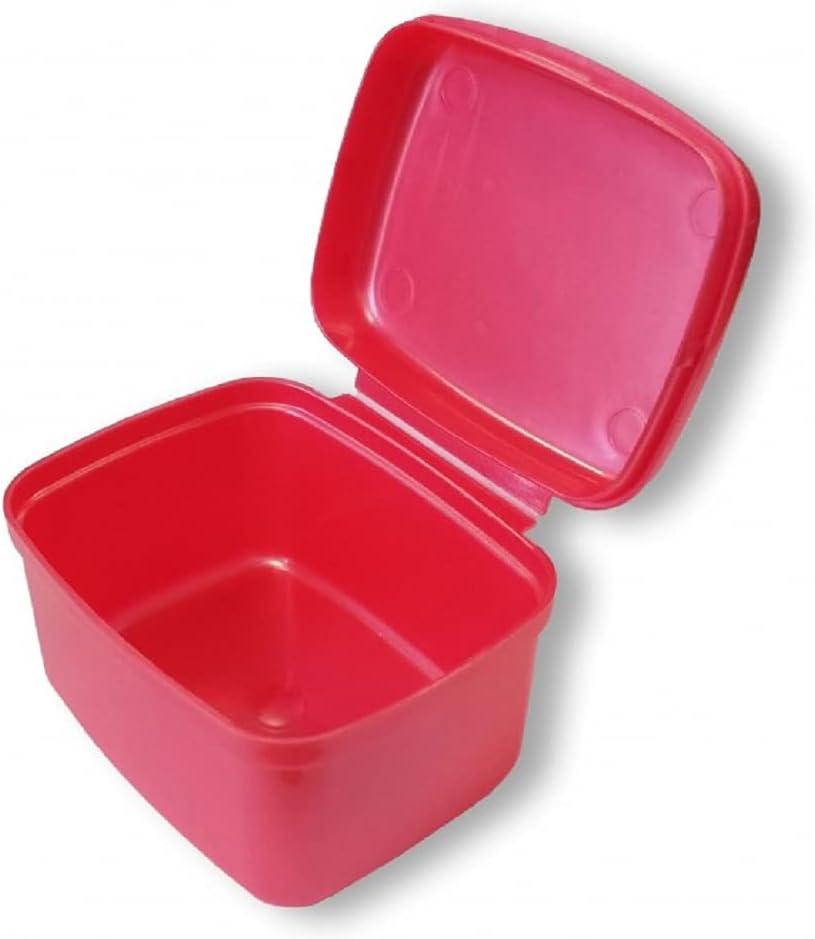 Wisdom Denture Box Storage Container - Assorted Colors | Denture Case ...