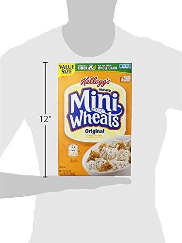 Kellogg's Frosted Mini-Wheats Cereal 24 oz Family Size - Low Fat ...