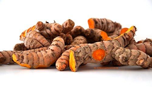 Organic Whole Fresh Raw Turmeric Roots (Curcuma longa) - 1 Lb | Buy Now ...