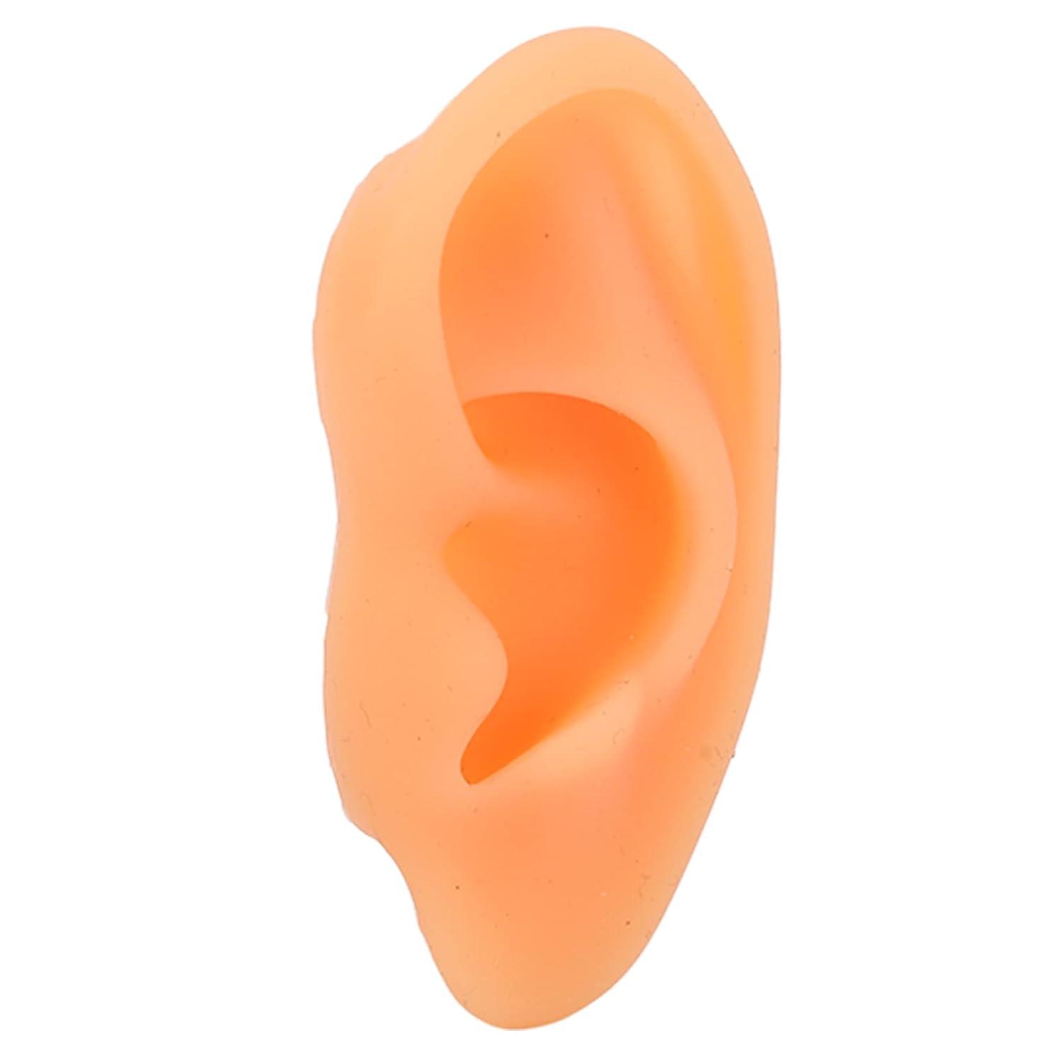 Rubber Fake Ear Model for Jewelry Display and Piercing Practice (Right ...
