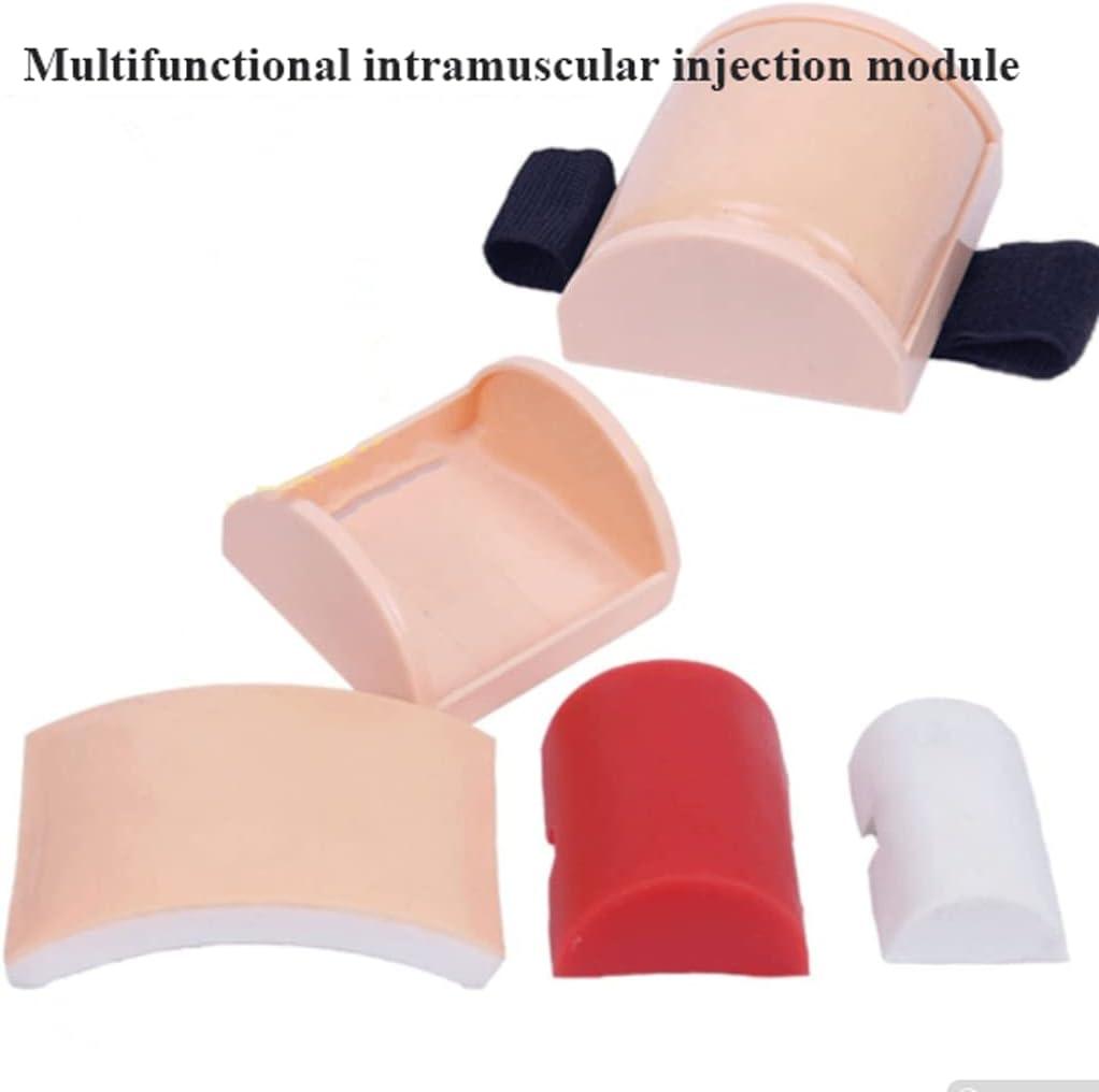 SOBOUR Model Teaching Model Intramuscular Injection Training Pad Model ...