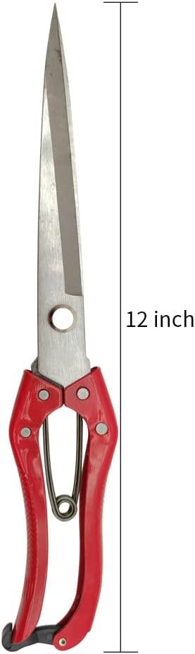 Multifunctional Stainless Steel Hand Shears for Sheep - Wool Shear ...