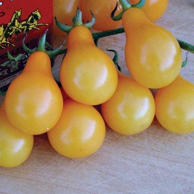 1/8 Gram Semi di Yellow Pera Pomodoro convenzionale e organica | Buy ...