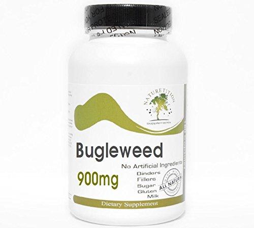 Naturetition Bugleweed Supplement 900mg - 90 Capsules - Pure Herbal ...