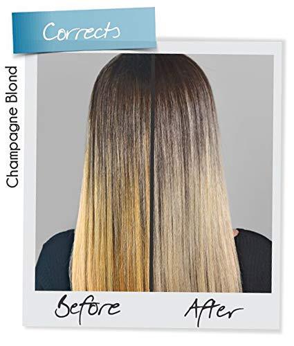 Truss Deluxe Prime Champagne Blond Hair Toner Treatment Bundle with ...