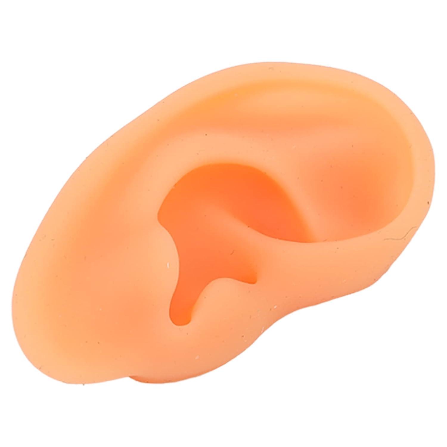 Soft Lifelike Fake Ear Model for Hospital - Professional Simulated Left ...