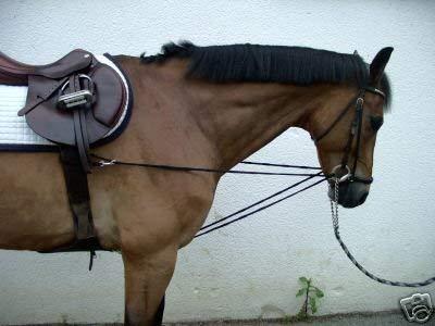 Paw and Hoof Triangle Reins | Premium Viennese Running Reins for Ponies ...