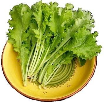 Fresh Saag Leaves Bunch | Single Bunch | Mustard Leaves | Sarso Ka Saag ...