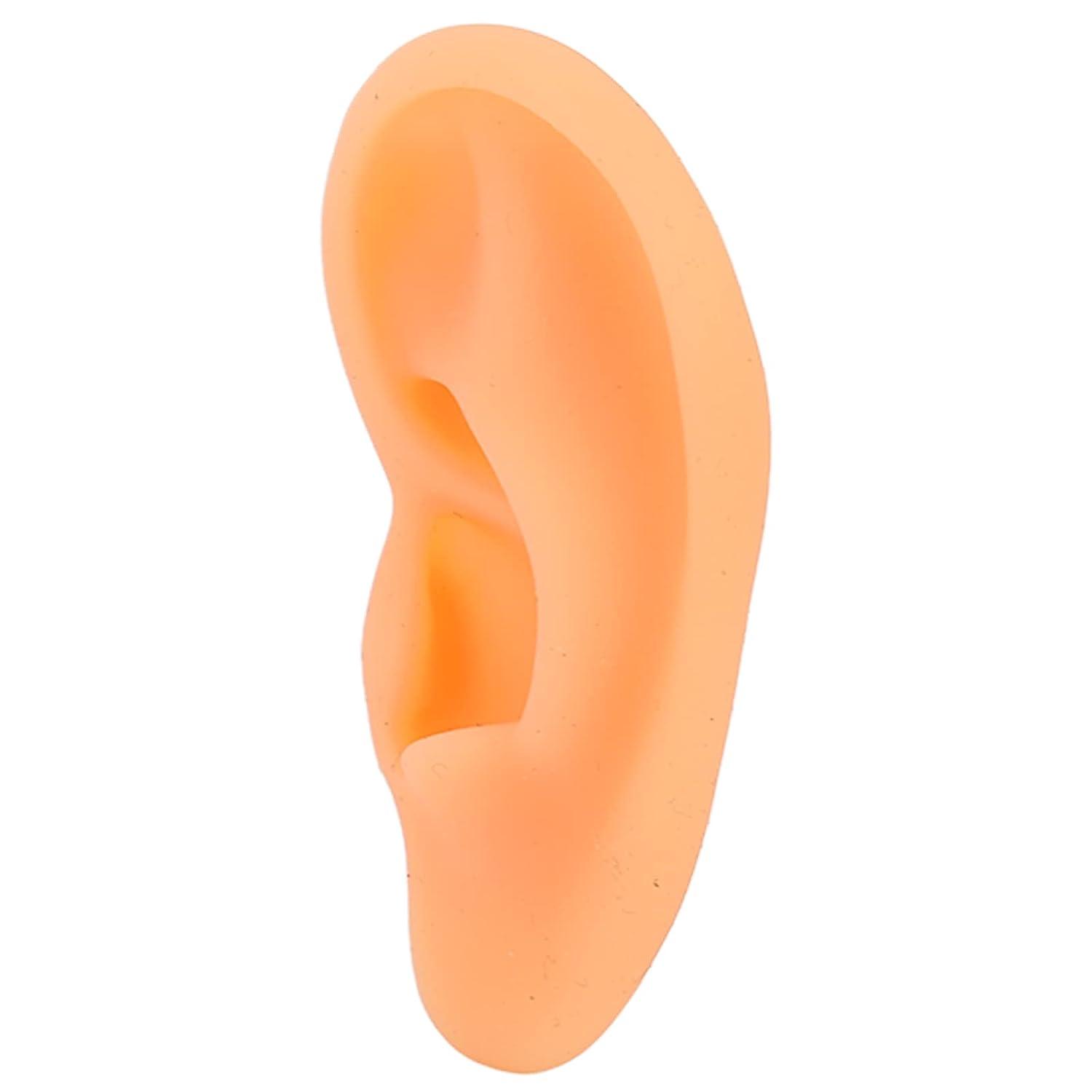 Rubber Fake Ear Model for Jewelry Display and Piercing Practice (Right ...