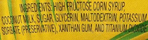 Hawaiian Sun Premium Coconut Syrup - Exotic Tropical Sweetness | [Brand ...