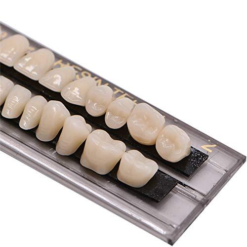 Dental Acrylic Resin Denture Tooth Kit 23 A2 for Halloween (28 Pcs/Set ...