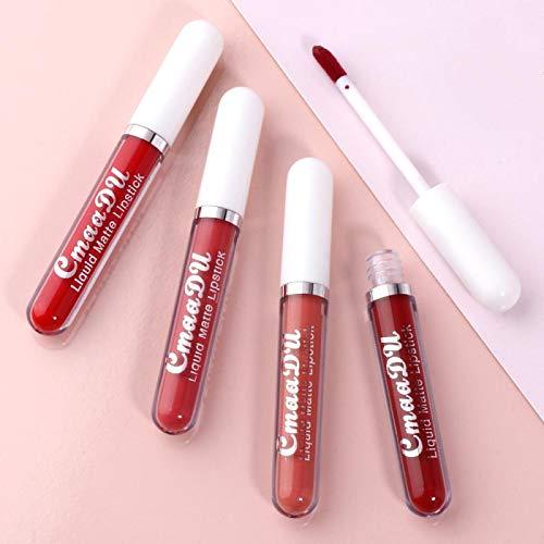18PCS Dark Red Matte Liquid Lipstick Set - Long Lasting & Waterproof ...