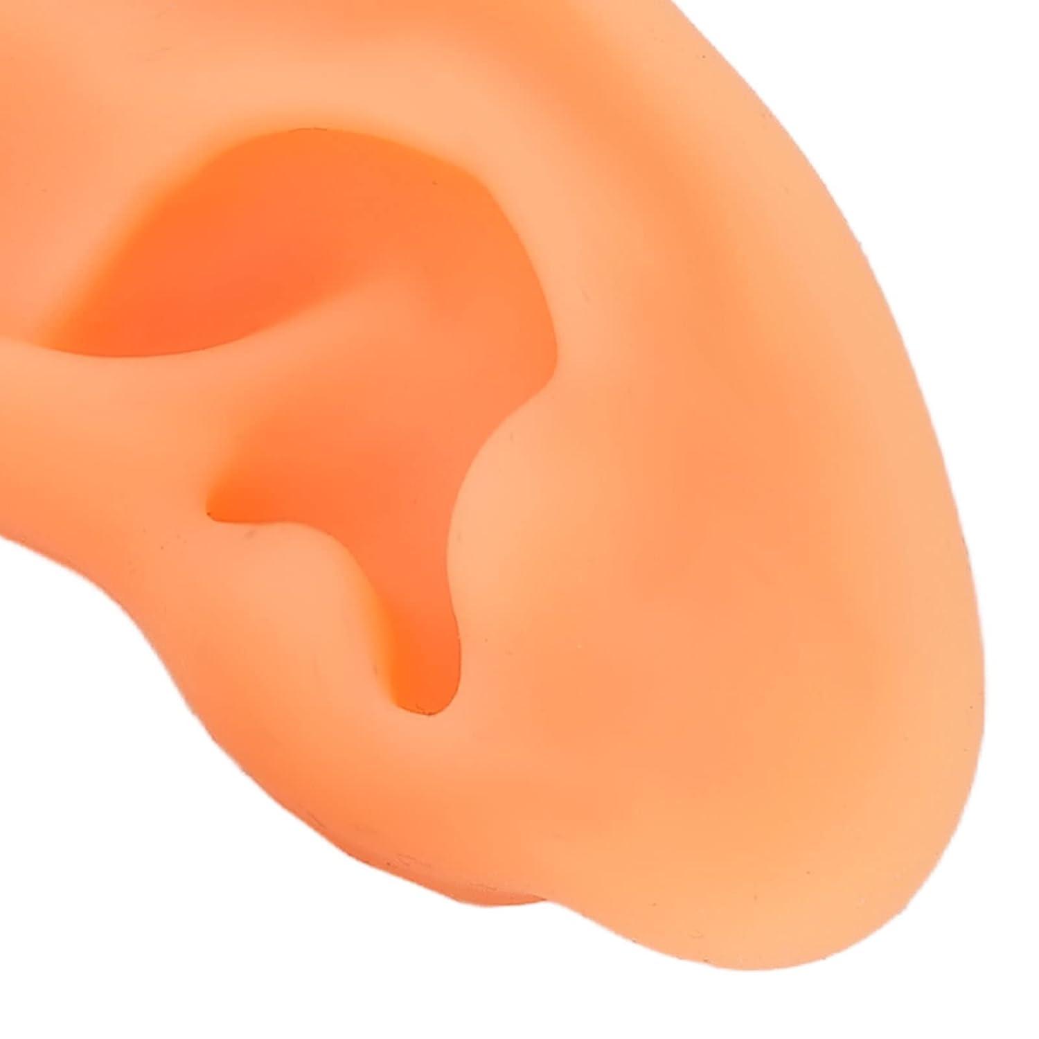 Ear Model ANGGREK 2 Pieces Ear Modeling Tools Hearing Amplifier ...