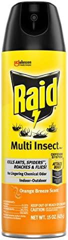 Raid Multi Insect Killer 15 oz - Kills Ants, Spiders, Roaches, and ...