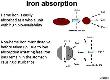 OptiFer F 60 Tablets: Natural Heme Iron & Folic Acid Supplement | Buy ...