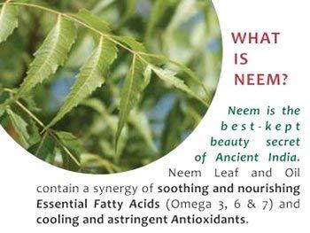 Organic Neem Leaves Tea Cut - 1 LB | Ayurvedic Herb Azadirachta Indica ...
